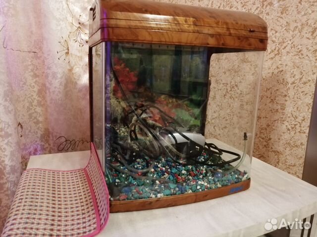 Аквариум