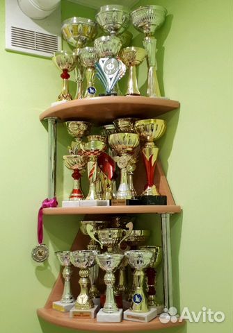 Сибирские котята, питомник