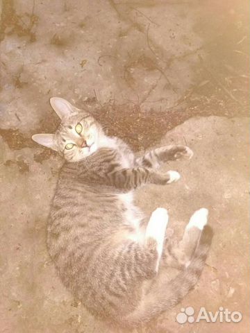 Ищем лучшую семью для нежного и милого ребенка