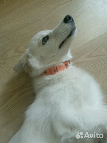 Умка ждёт маму