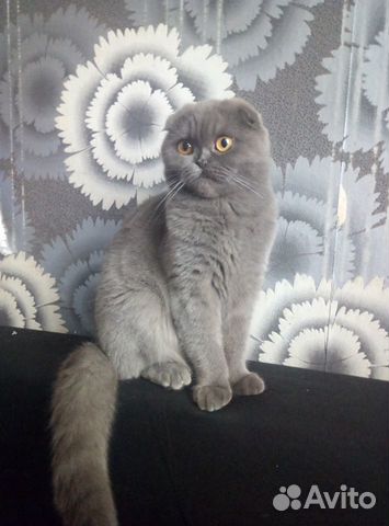 Вязка
