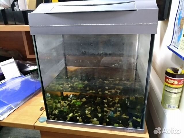 Аквариум и принадлежности