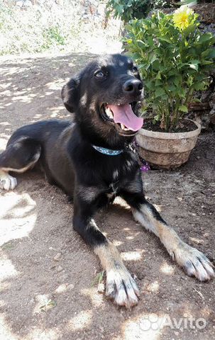 Ищем дом / девочка и мальчуган