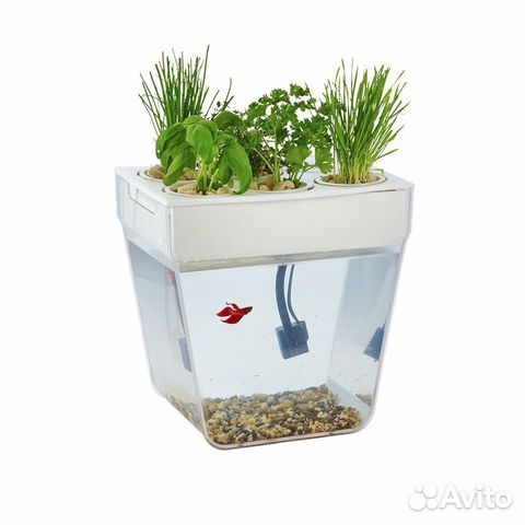 Акваферма "AquaFarm"