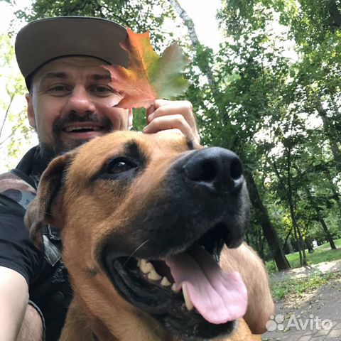 Граф ищет дом