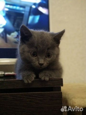 Еся