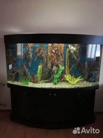 Акриловый аквариум 700 литров