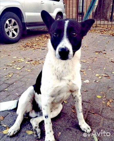 Молодой парень ищет дом и любящую семью