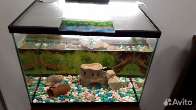 Аквариум