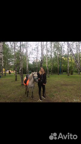Продаю пони, кобыла, молодая