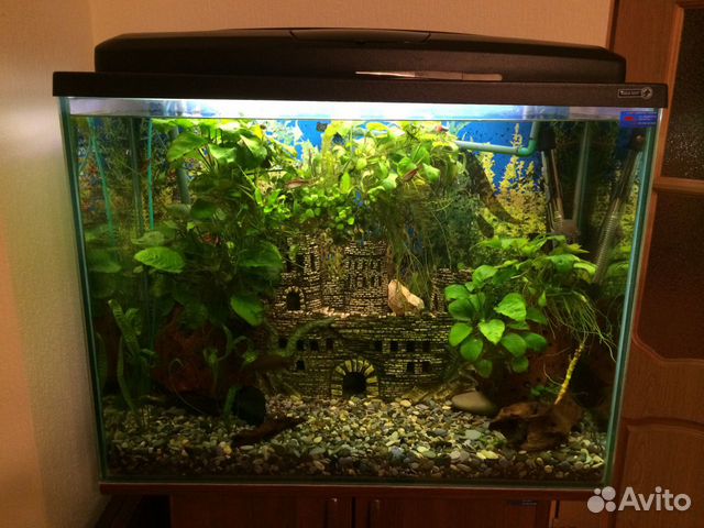 Продается аквариум