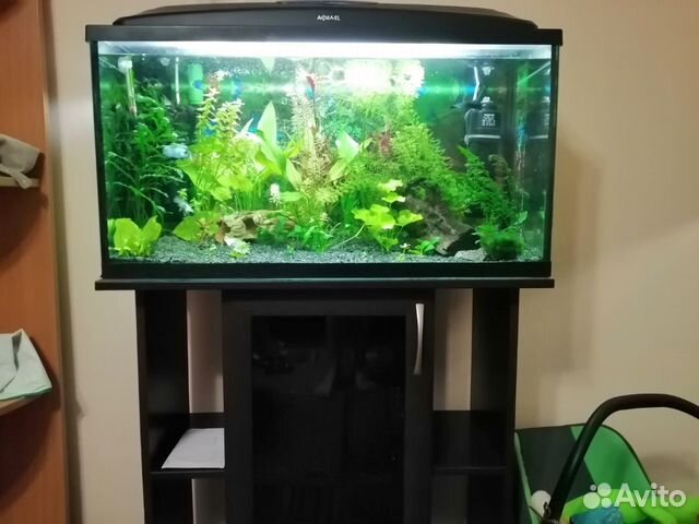 Аквариум 116 литров