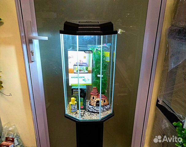 Аквариум под ключ