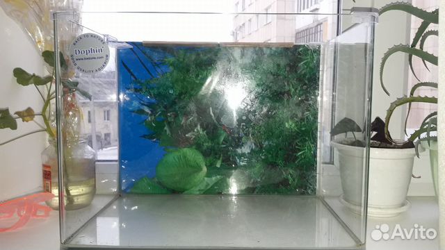 Аквариум