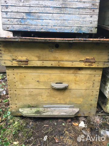 Пчелиный улей