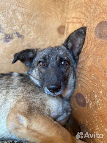 Кики очень ждет когда за ней придут