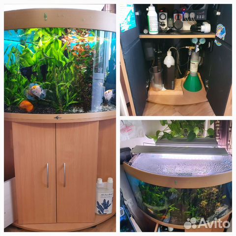 Аквариум + доп оборудование