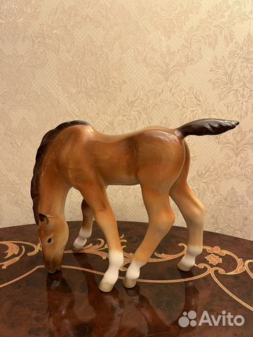 Жеребенок посущийся