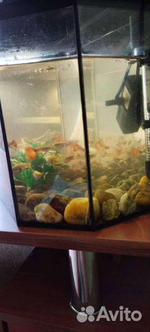 Аквариум с рыбками 17 л