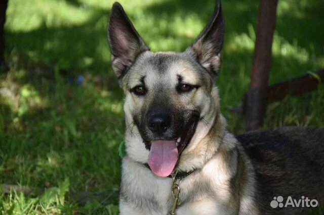 Мальчишка подросток