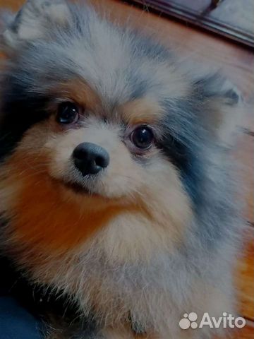 Очаровательный мужчина