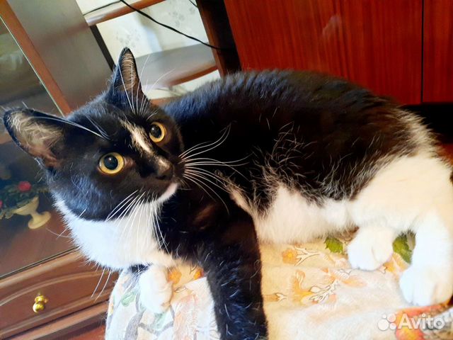 Отдам в хорошие руки