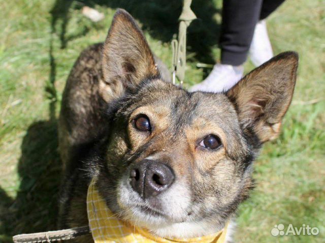 Тома из приюта мечтает быть кому-то нужной