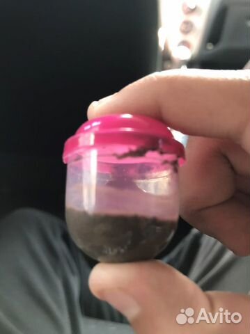 Какашки страуса