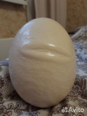 Страусиное яйцо