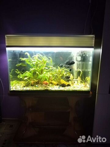 Аквариум