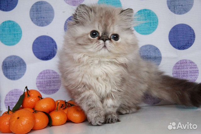 Просто прелесть