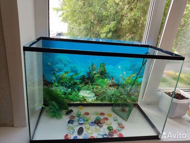 Авариум и Украшение для аквариума