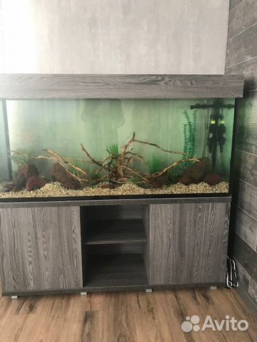 Аквариум 450л. тумба и подсветка
