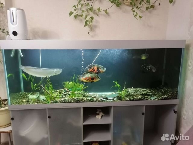 Аквариум с тумбой