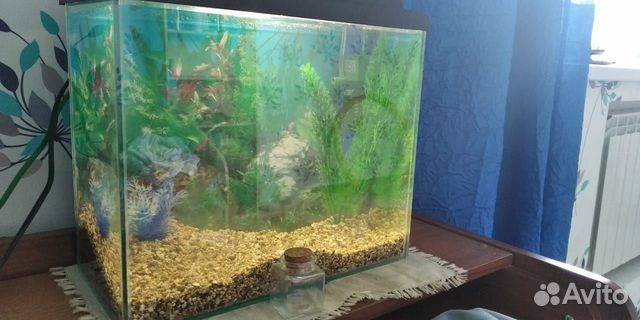Аквариум 17 л (комплект без рыб)