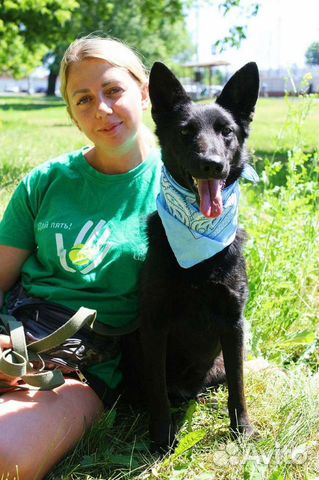 Собачка Тринити ищет дом