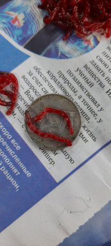 Мотыль насадочный большой белорусский живой