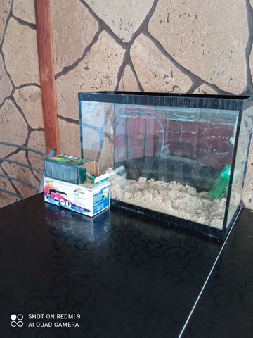 Аквариум 20 литров