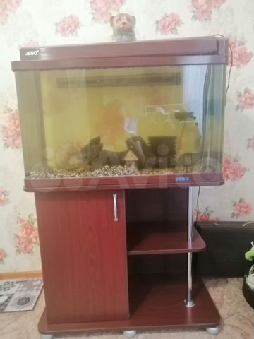 Аквариум с рыбками