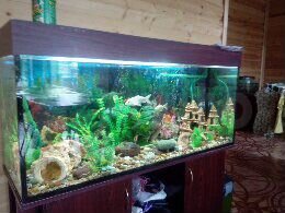 Аквариум 240 литров